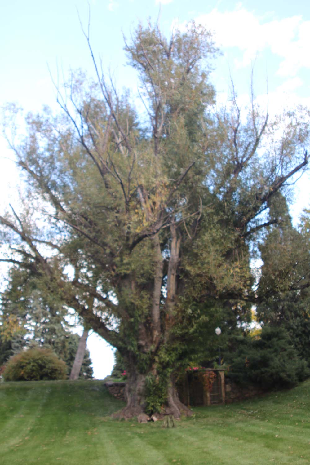 The Myron Stratton Home Campus in Colorado Springs | Myron Stratton Home