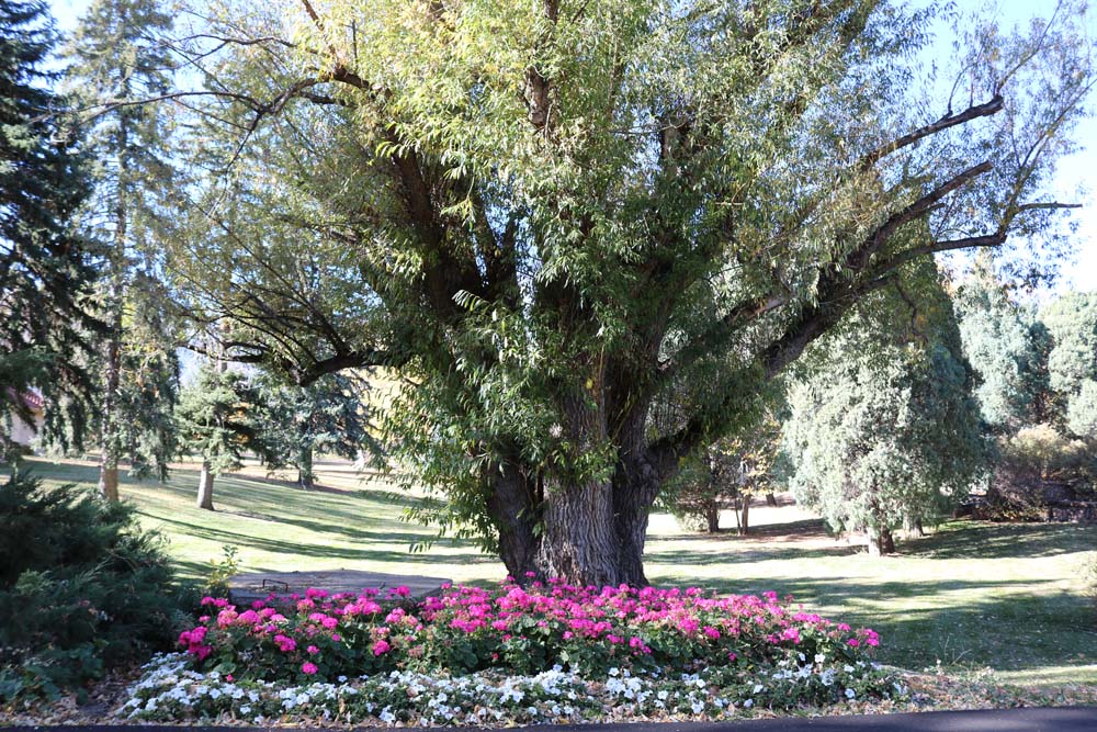 The Myron Stratton Home Campus in Colorado Springs | Myron Stratton Home