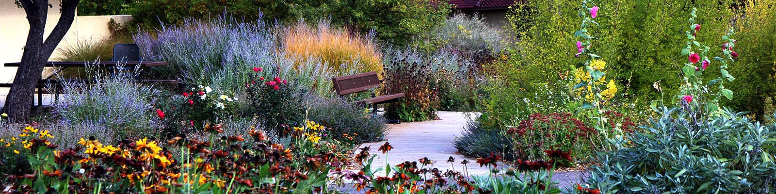 Assisted, Independent Living, Colorado Springs | Myron Stratton Home