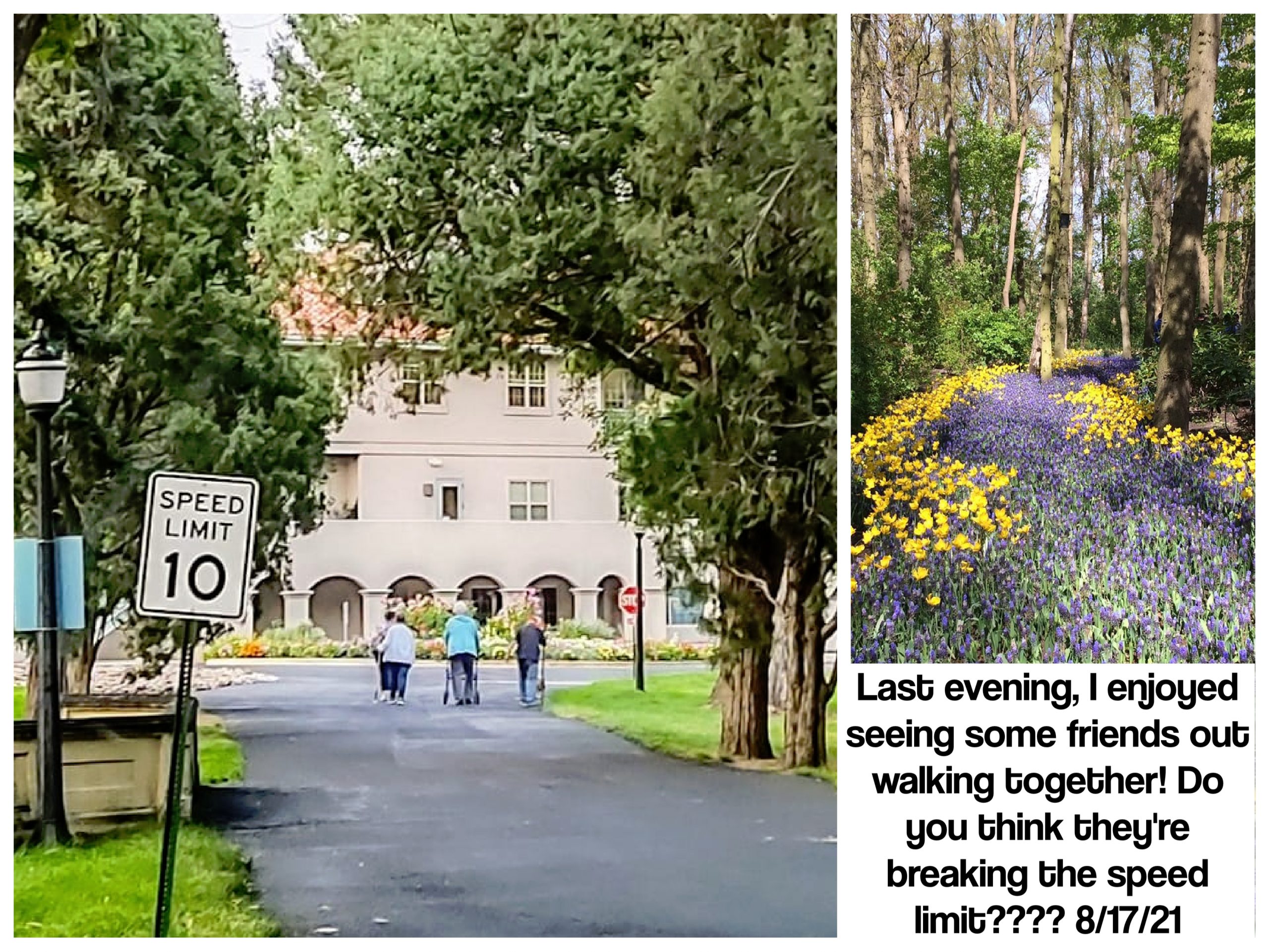 Walking8_17_21 | Myron Stratton Home